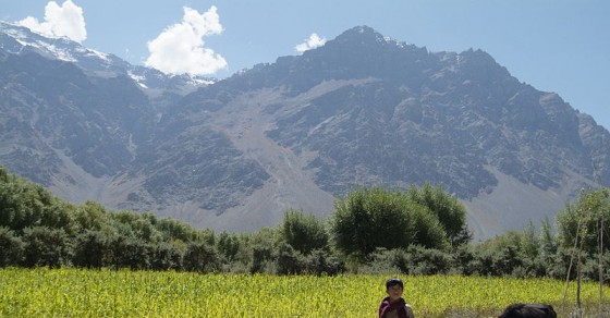 Ladakh Ecological Development Group - Ladakh | Ladakh Ecological ...