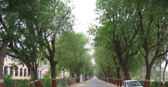 Panchvati - Pilani | Panchvati Photos, Sightseeing -NativePlanet