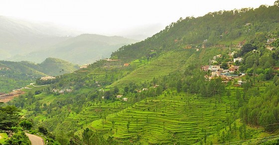 Trekking - Almora | Trekking Photos, Sightseeing -NativePlanet