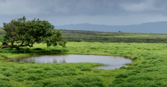 Kaas Plateau and Kaas Lake - Satara | Kaas Plateau and Kaas Lake Photos ...