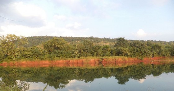 Nallamala Forest - Kurnool | Nallamala Forest Photos, Sightseeing ...