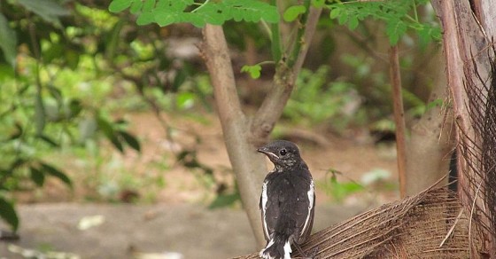 Luhari - Silvassa | Luhari Photos, Sightseeing -NativePlanet