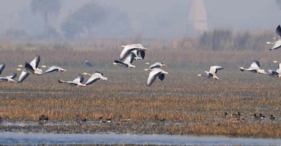 Dadri - Ghaziabad | Dadri Photos, Sightseeing -NativePlanet