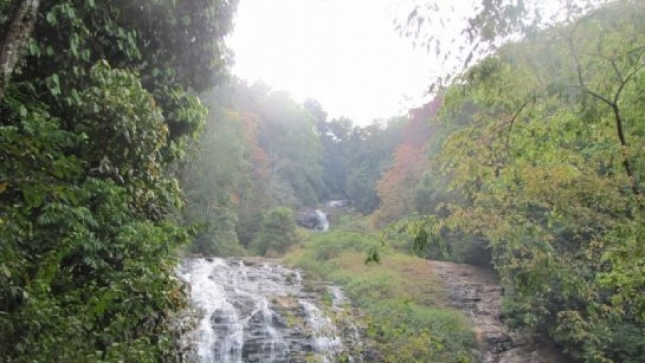 Coorg Tourism, Travel Guide & Tourist Places in Coorg-NativePlanet