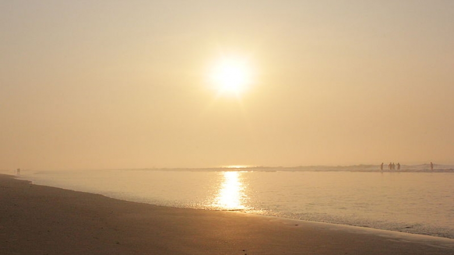 Chandrabhaga Sea Beach - Konark | Chandrabhaga Sea Beach Photos ...