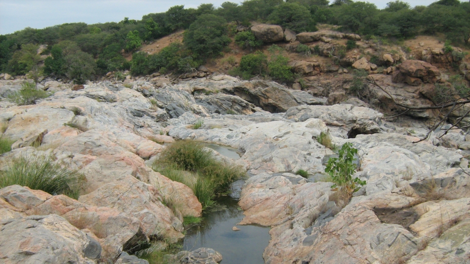 Muthathi Tourism, Travel Guide & Tourist Places in Muthathi-NativePlanet