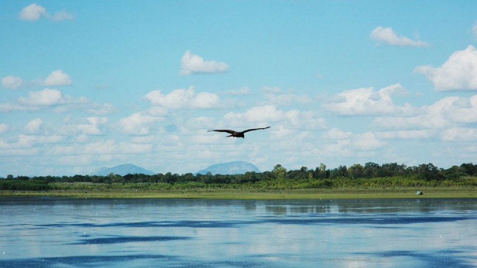 Hesaraghatta Lake - Bangalore | Hesaraghatta Lake Photos, Sightseeing ...