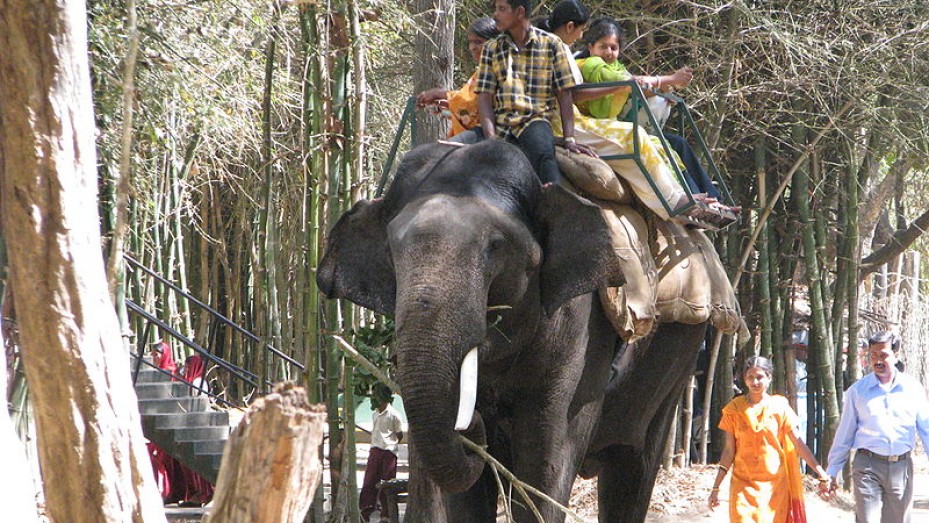 Coorg Photos, Pictures of Famous Tourist Places and Attractions ...