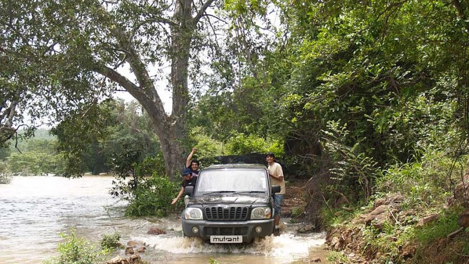 Muthathi Photos, Pictures of Famous Tourist Places and Attractions ...