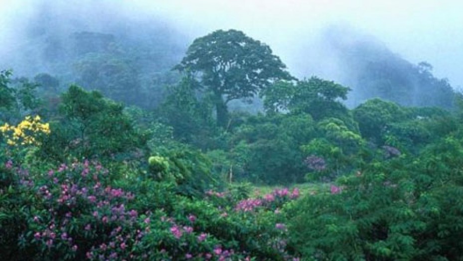 Siddapur Tourism, Travel Guide & Tourist Places in Siddapur-NativePlanet