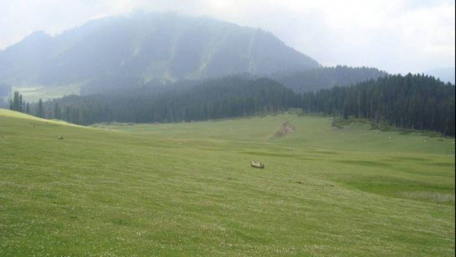 Budgam Photos, Pictures of Famous Tourist Places and Attractions ...