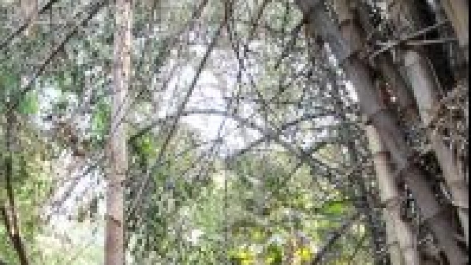 Sundarvan Photos-NativePlanet