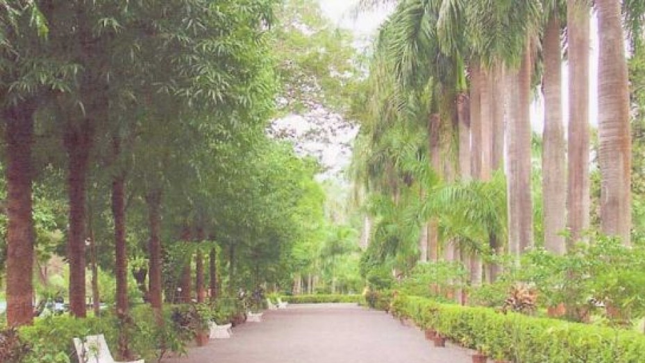 Vansda National Park Photos-NativePlanet