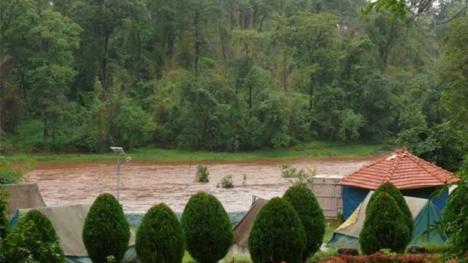 Vansda National Park Photos-NativePlanet