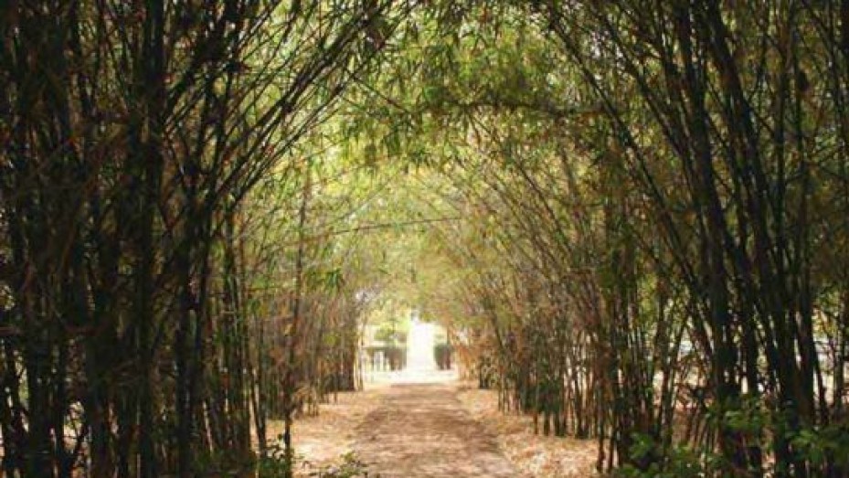 Indroda Dinosaur And Fossil Park Photos-NativePlanet