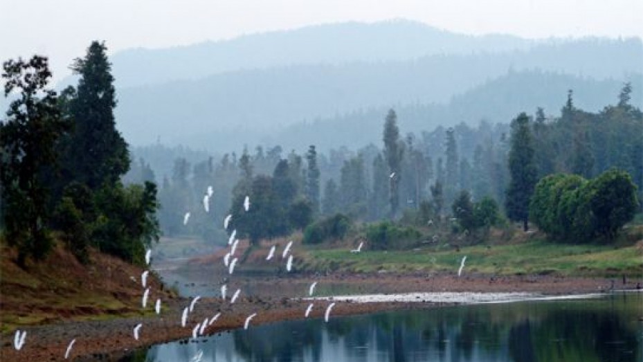 Saputara Photos, Pictures of Famous Tourist Places and Attractions ...