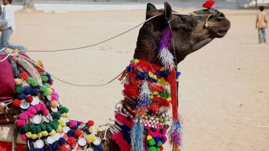 Pushkar Photos, Pictures of Famous Tourist Places and Attractions ...