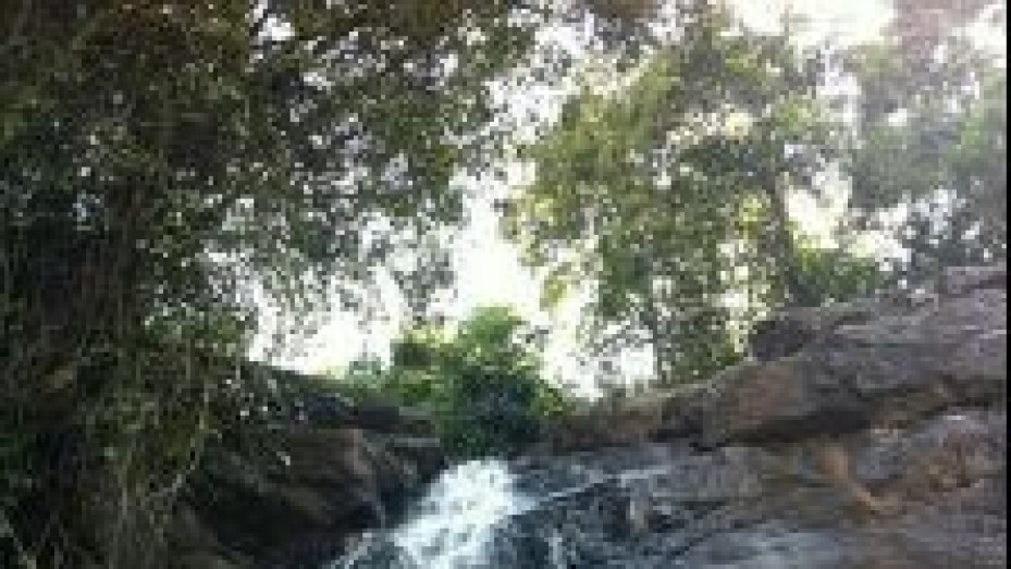 Kalpetta Photos, Pictures of Famous Tourist Places and Attractions ...