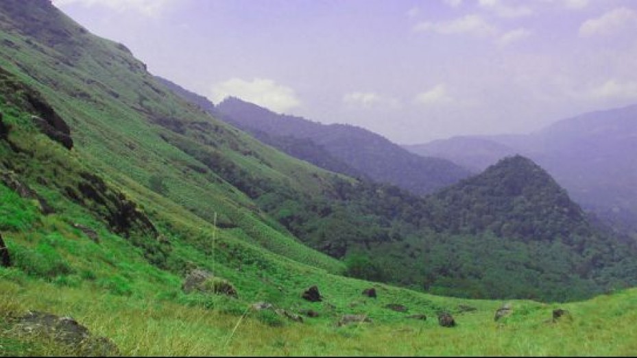 Kalpetta Photos, Pictures of Famous Tourist Places and Attractions ...