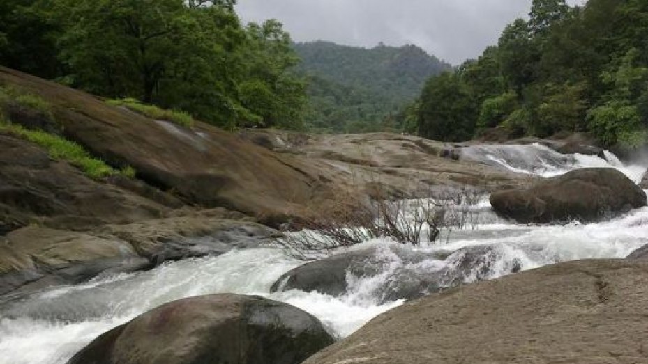 Nilambur Photos, Pictures of Famous Tourist Places and Attractions ...