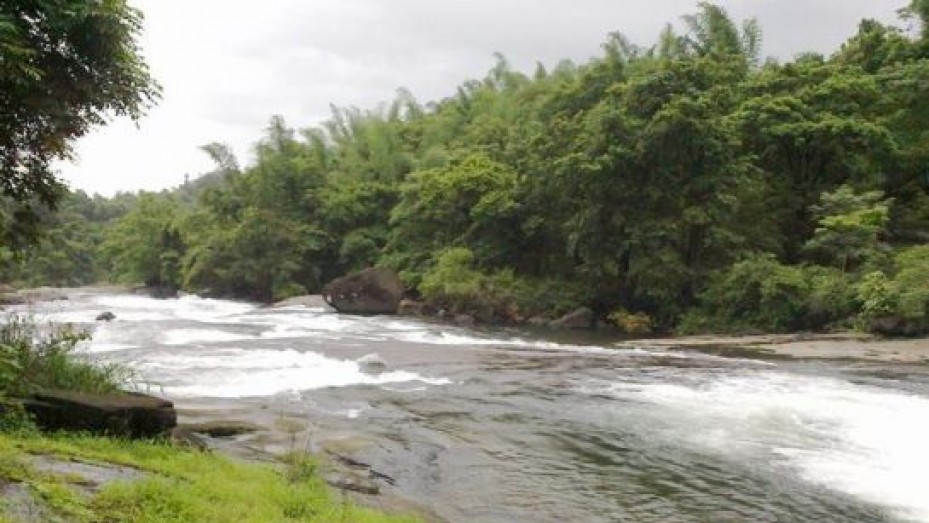 Nilambur Photos, Pictures of Famous Tourist Places and Attractions ...