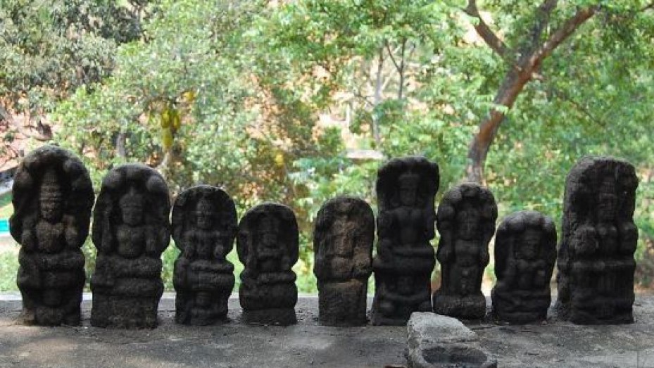 Kalady Photos, Pictures of Famous Tourist Places and Attractions ...