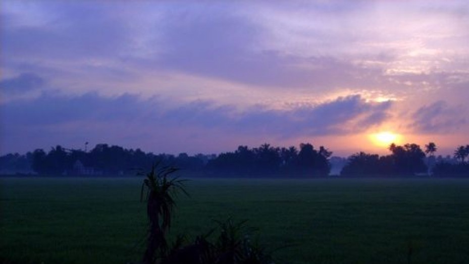 Alleppey Photos, Pictures of Famous Tourist Places and Attractions ...