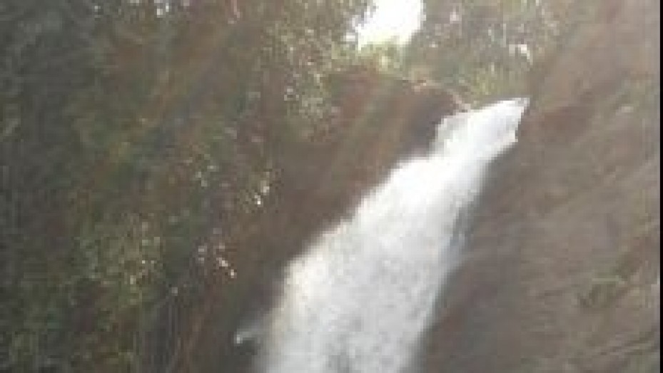 Kalpetta Photos, Pictures of Famous Tourist Places and Attractions ...