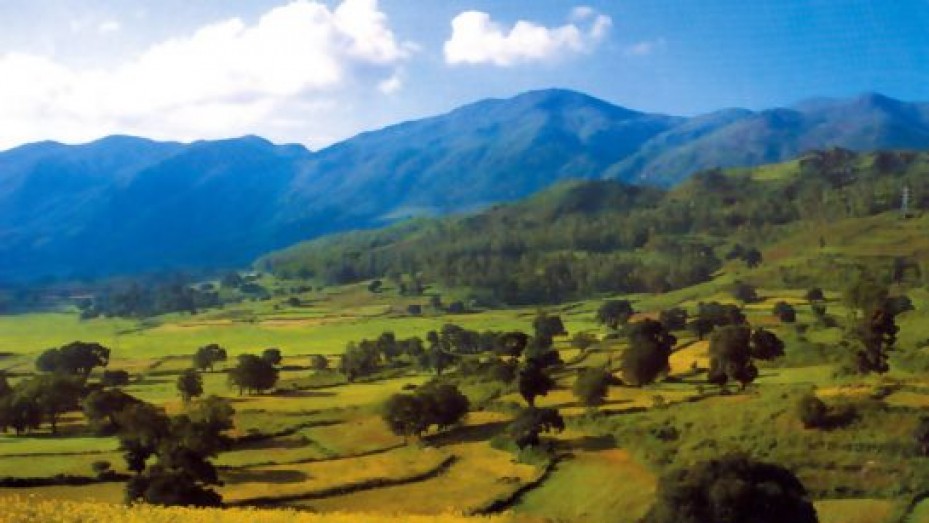 Araku Valley Tourism, Travel Guide & Tourist Places in Araku Valley ...