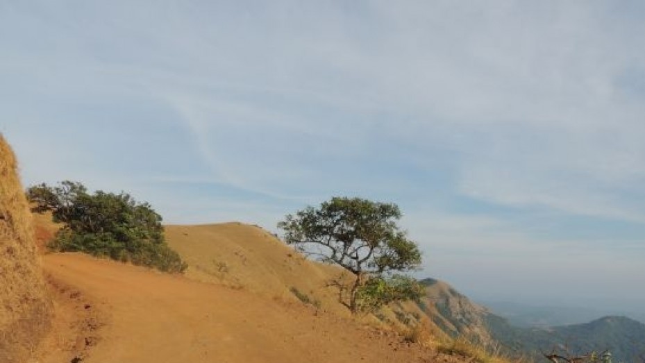 Kodachadri Photos, Pictures of Famous Tourist Places and Attractions ...