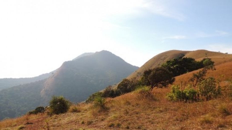 Kodachadri Photos, Pictures of Famous Tourist Places and Attractions ...