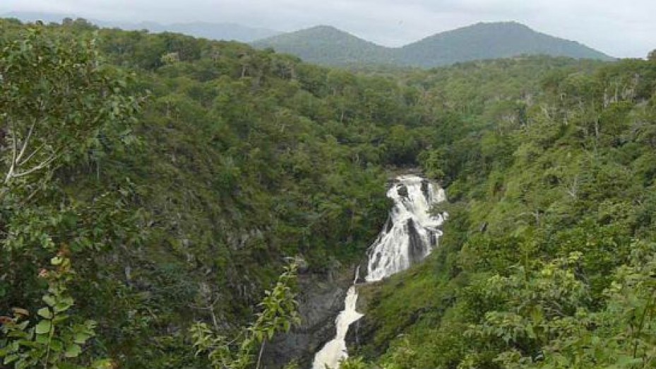 Mudumalai Photos, Pictures of Famous Tourist Places and Attractions ...