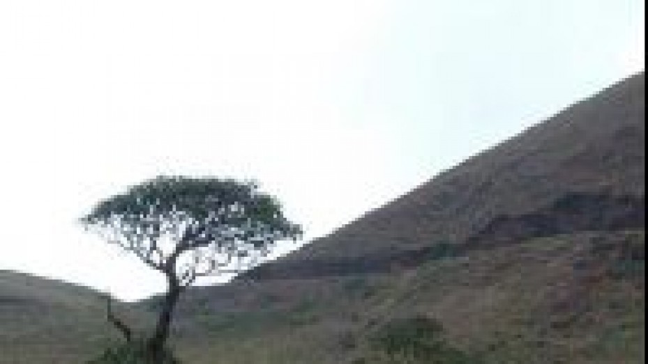 Mukurthi National Park Photos-NativePlanet