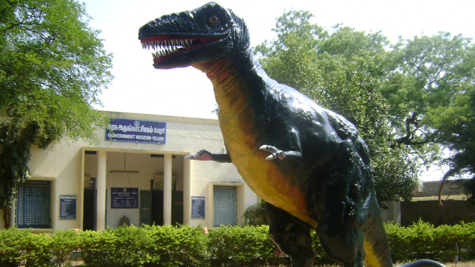 State Government Museum - Vellore | State Government Museum Photos ...