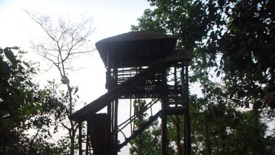 Pilibhit Tiger Reserve - Pilibhit | Pilibhit Tiger Reserve Photos ...