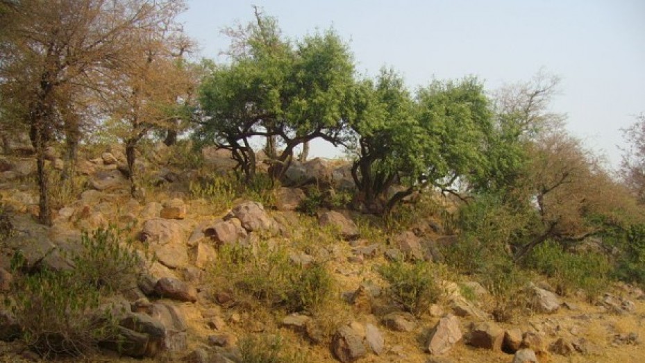 Govardhan Photos, Pictures of Famous Tourist Places and Attractions ...