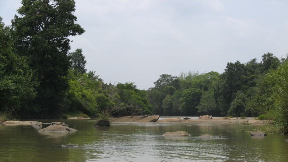 Kuruva Dweep Photos-NativePlanet