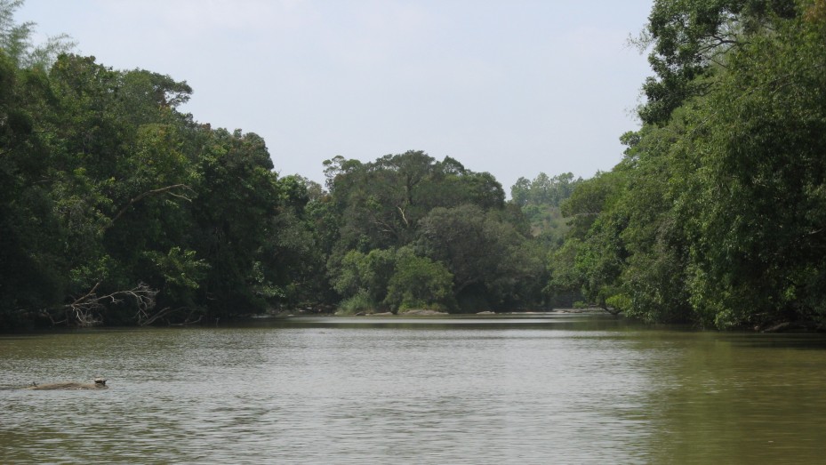 Kuruva Dweep Photos-NativePlanet