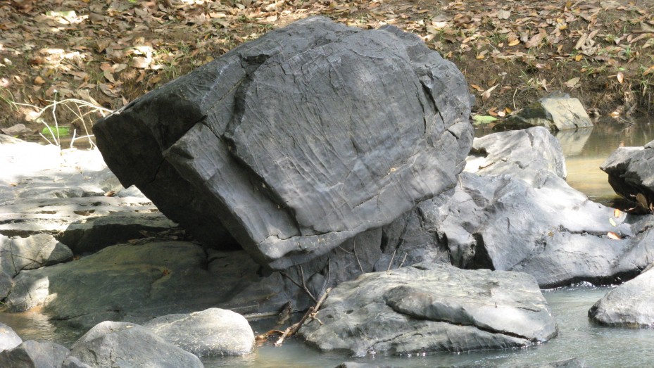 Kuruva Dweep Photos-NativePlanet