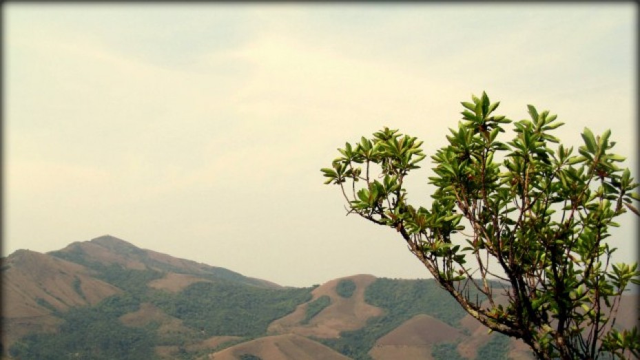 Chikmagalur Photos, Pictures of Famous Tourist Places and Attractions ...