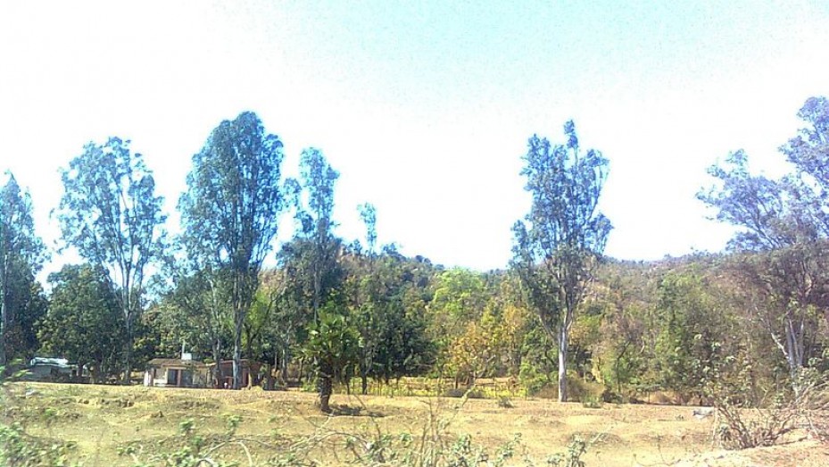 Dhanbad Photos, Pictures of Famous Tourist Places and Attractions ...