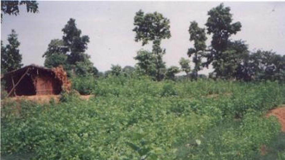 Surguja Photos, Pictures of Famous Tourist Places and Attractions ...