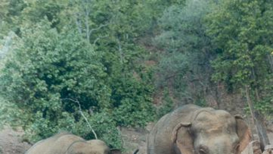 Surguja Photos, Pictures of Famous Tourist Places and Attractions ...