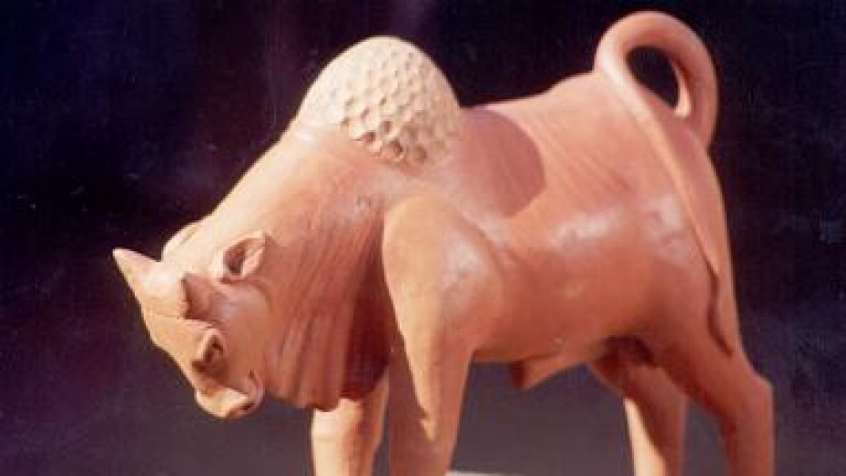 Surguja Photos, Pictures of Famous Tourist Places and Attractions ...