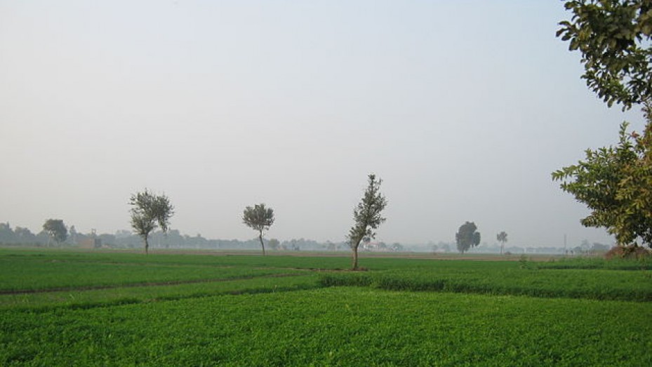 Sonipat Tourism, Travel Guide & Tourist Places in Sonipat-NativePlanet