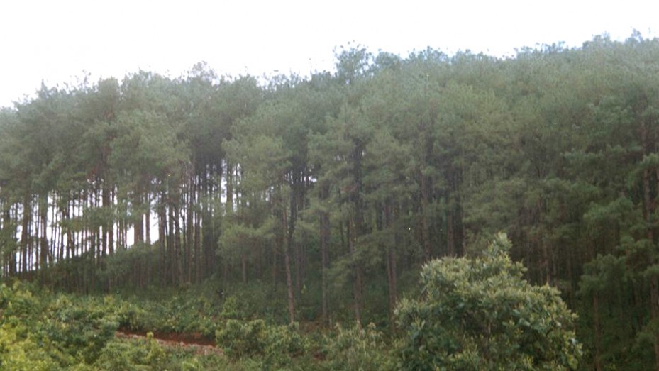 Kandhamal Photos, Pictures of Famous Tourist Places and Attractions ...