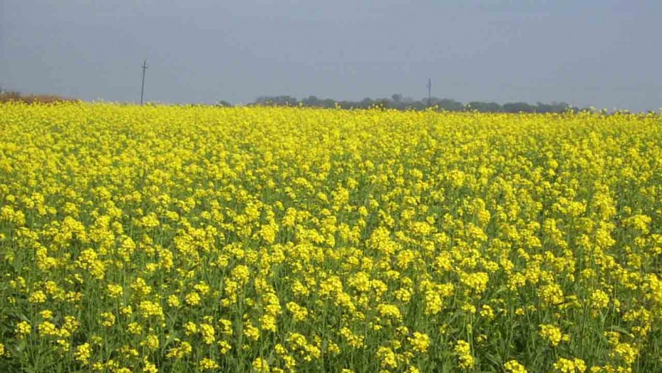 Kaimur Photos, Pictures of Famous Tourist Places and Attractions ...