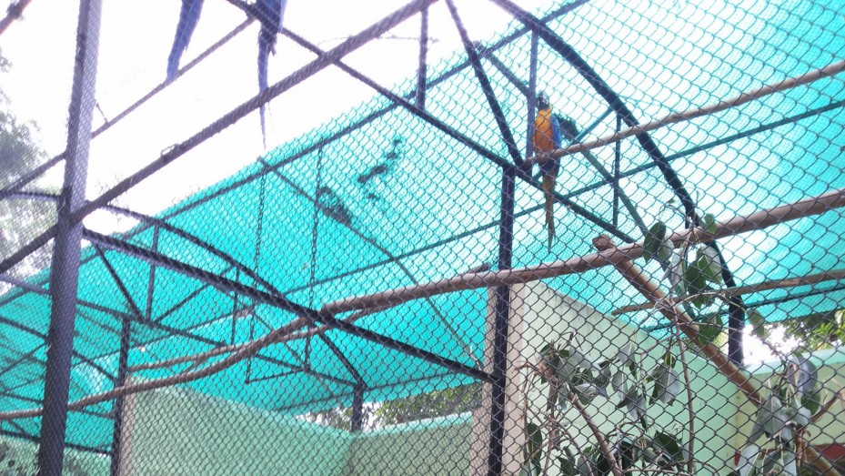 Mysore Zoo Photos-NativePlanet