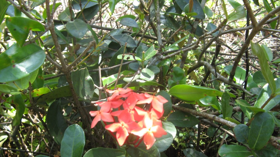Karnataka Photos, Pictures of Famous Tourist Places and Attractions ...