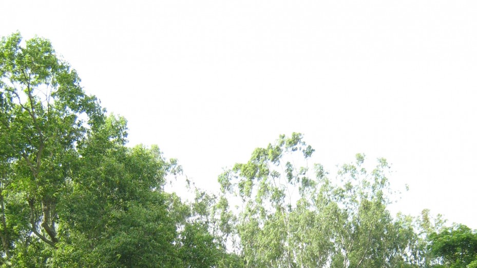 BR Hills Photos, Pictures of Famous Tourist Places and Attractions ...